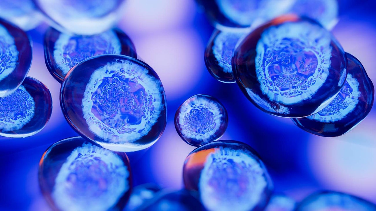 Riffyn X enterprise recipe management | Siemens Software