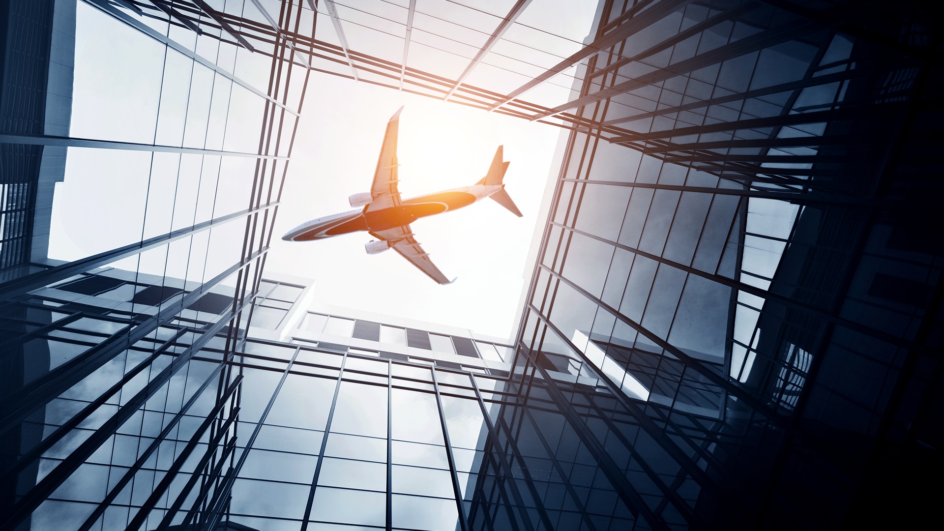 Fact Sheet | Capital X | Siemens Software