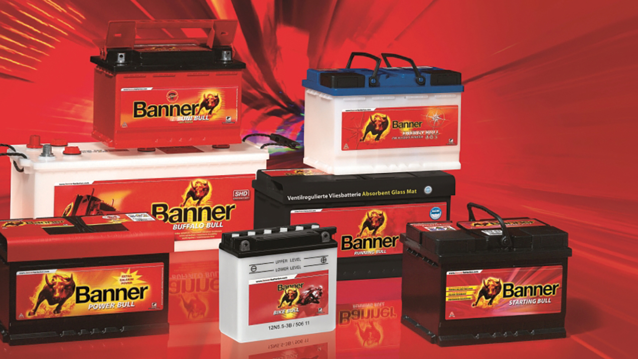 Battery manufacturer makes investment decisions based on plant ...